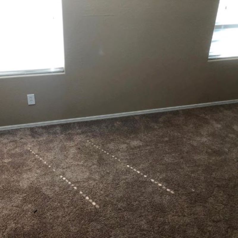 #1 for Eviction Cleanout in Gilbert, AZ with Over 1800 5-Star Reviews!