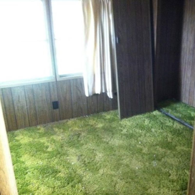 The #1 REO Trash Out Service in Phoenix, AZ | 1200+ 5-Star Reviews ...